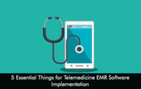 5 Essential Things for Telemedicine EMR Software Implementation ...