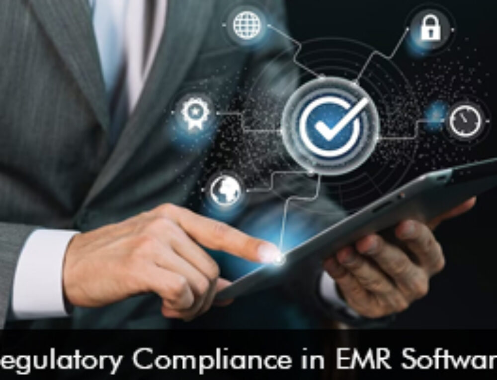 5 Amazing Benefits of Patient Portal EMR Software for your Patients ...